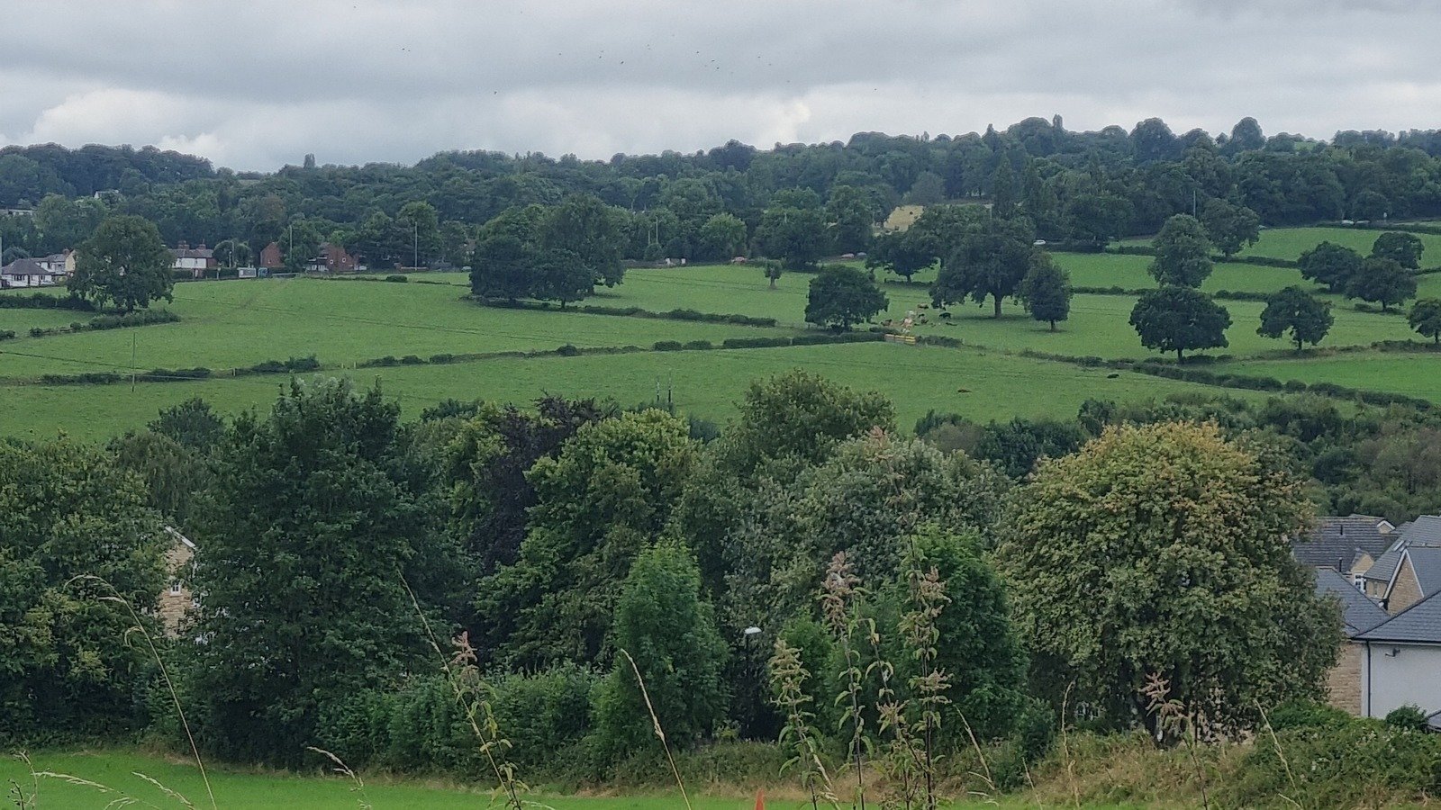 Petition · CCTV for The Vale, Horsforth - United Kingdom · Change.org