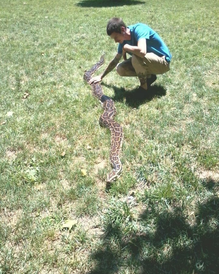 Petition · The Great Python Challenge 2013 (Florida Fish & Wildlife ...