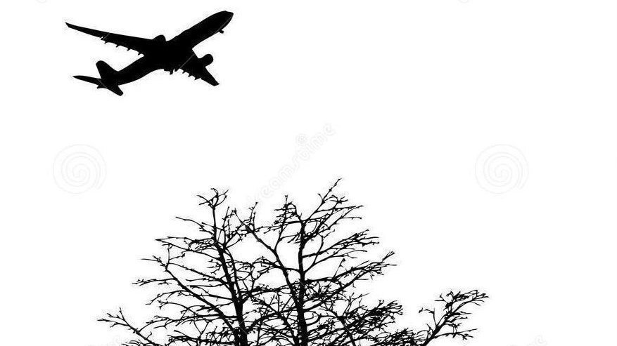 Petition · Stop the 2nd Runway at Gatwick Airport to tackle further Air and Noise pollution ...