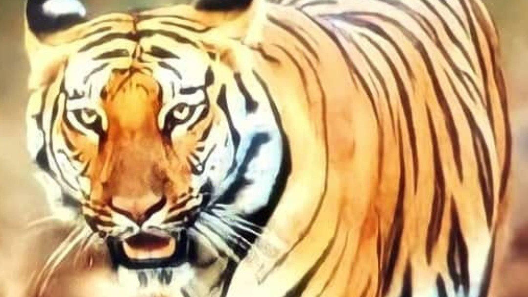 Petition · Tiger deaths in 2022 - India · Change.org