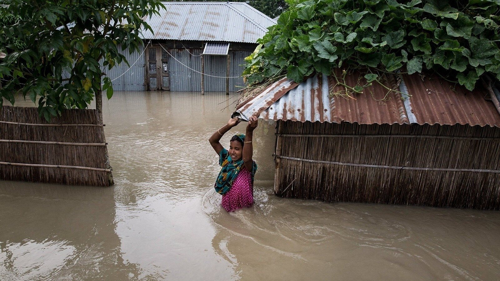 Petition · Demand Fair Water Sharing:Address the Farakka Barrage's ...