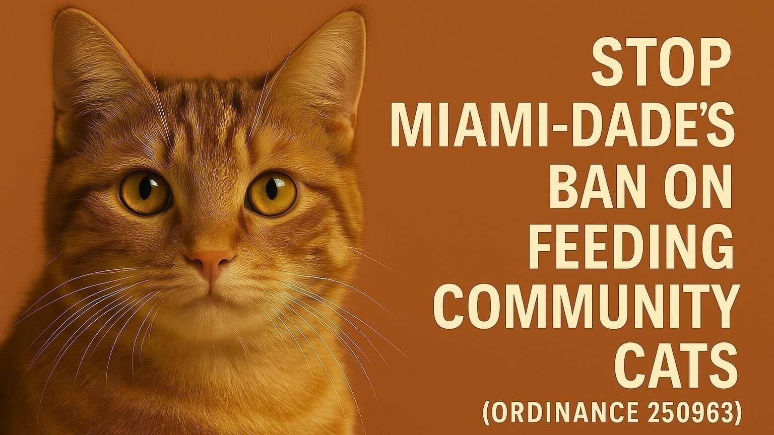 Petition · Say NO to Miami-Dade’s Cruel Ban on Feeding Community Cats ...