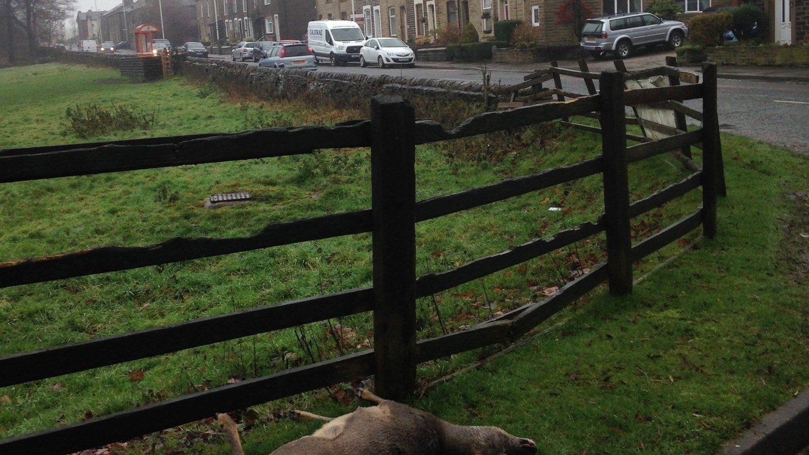 Petition · SPEED CAMERA & SLOW DOWN DEER SIGN - United Kingdom · Change.org