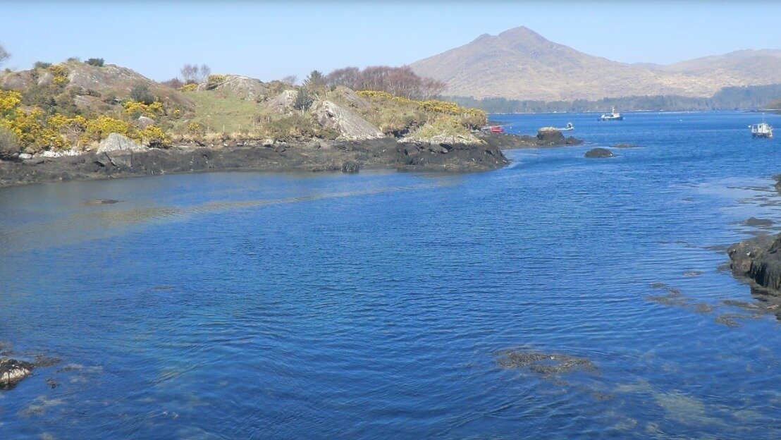 Petition · Stop Pair Trawling in Our Bay - Ireland · Change.org