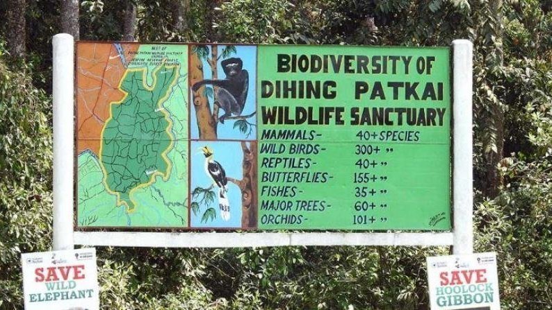 Petition · SAVE DIHING PATKAI "The Amazon Of East" - India · Change.org