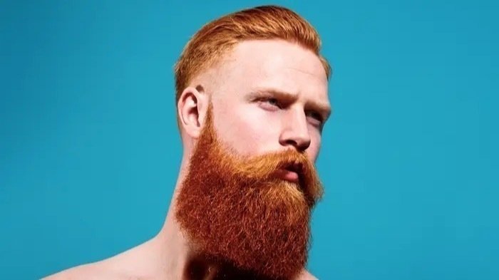 Petition · Turn James into a ginger - United States · Change.org
