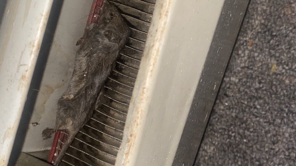 Petition · Investigate and Shut Down ID Washington Property Group for ...