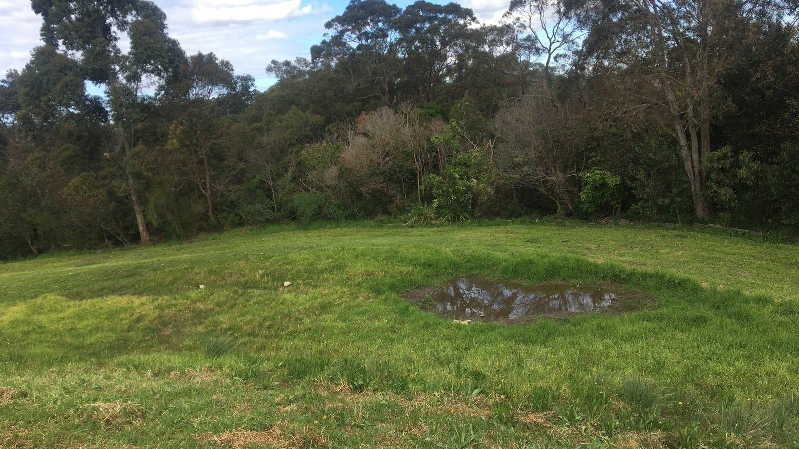 Petition · Keep Off-Leash Access to Pidding Park - Australia · Change.org