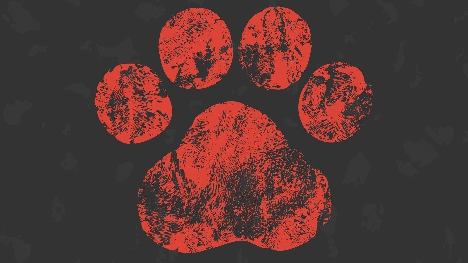 Petition Stop Animal Abuse Change petition-stop-animal-abuse-change