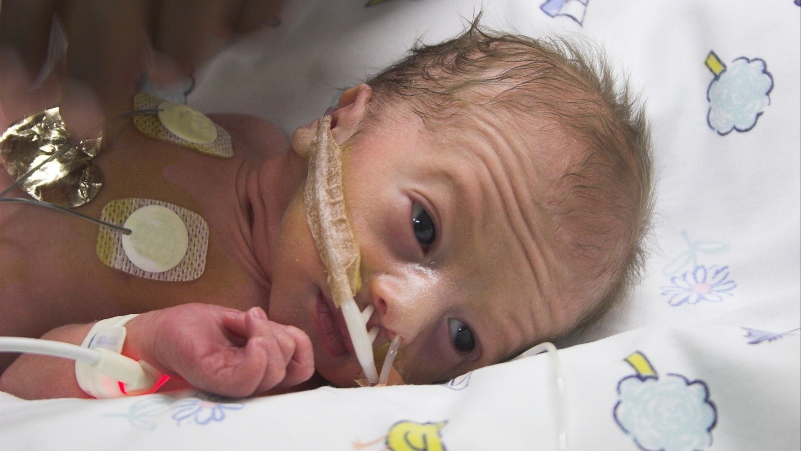 Petition · Minimizing gap in accessibility of human milk products to ...