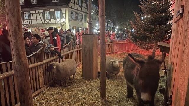 Petition · VERZICHT auf lebende Krippe in der Innenstadt von Haslach i ...