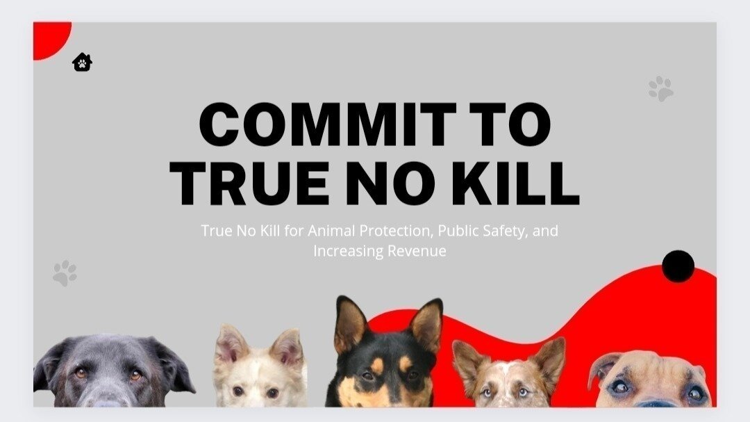Petition · Make SCRAPS True No Kill - United States · Change.org