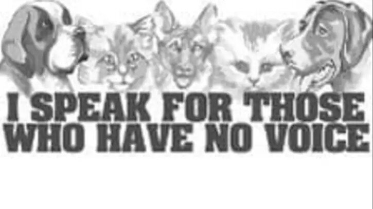 Petition · National ban on all law enforcement using any means of ...