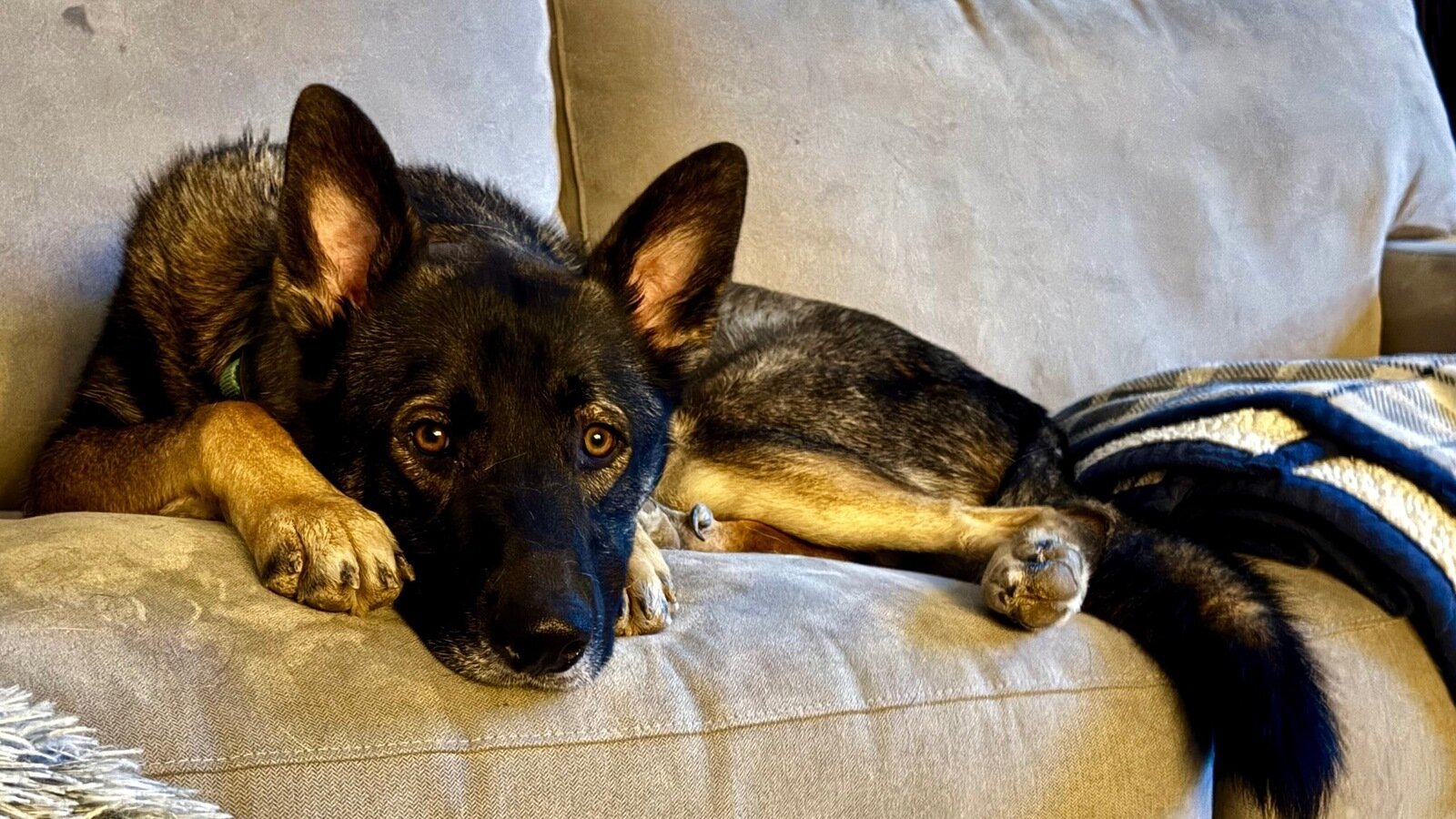 Petition · Demand Instagram to permit use of Hashtags /Tags on posts ...