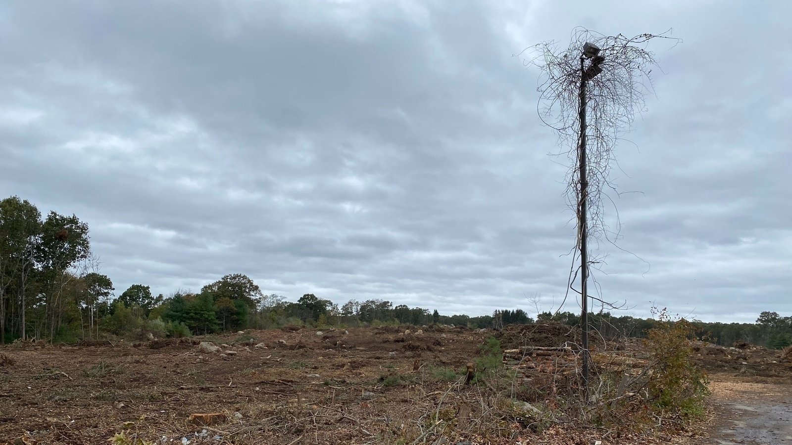 Petition · Save NK Open Space - Keep NK Rural and stop over development ...