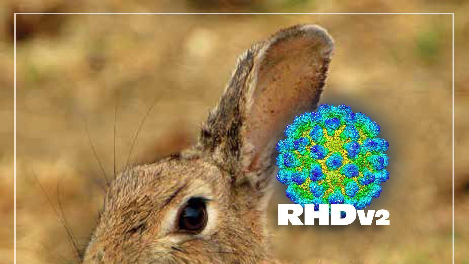 Petition · Emergency Approval for Import of a Vaccine against Rabbit ...