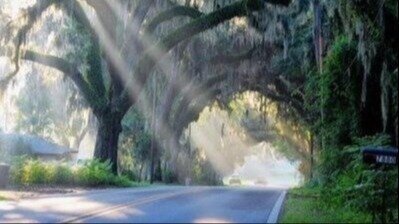 Petition · Reduce the Weight Limit on CR 48/Orange Ave in Floral City ...