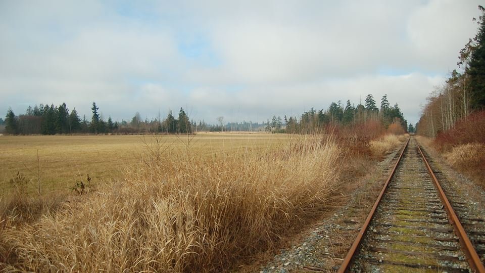 Petition · Support an achievable island corridor such as a trail that ...