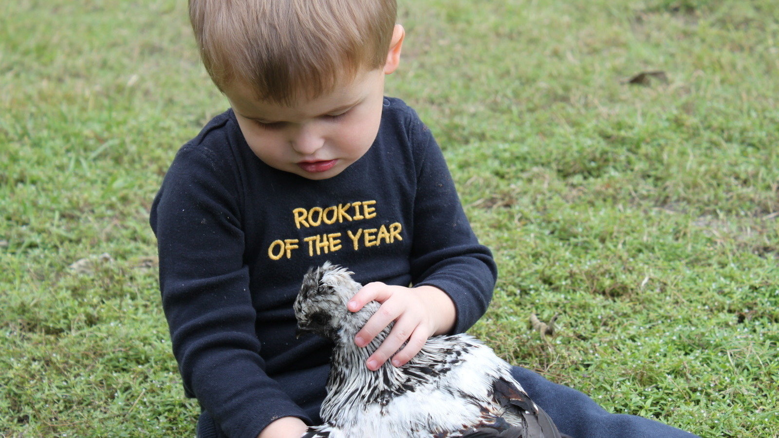 Petition · Allow for the keeping of Autistic 2 yr old JJ's "ducks ...