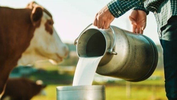 Petition · START A "MOOVMENT" TO STOP THE DUMPING OF PERFECTLY ...