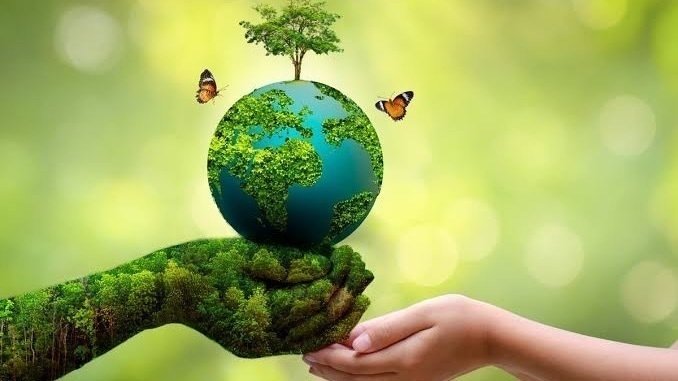 Petition · Save Tree , Save Earth - India · Change.org