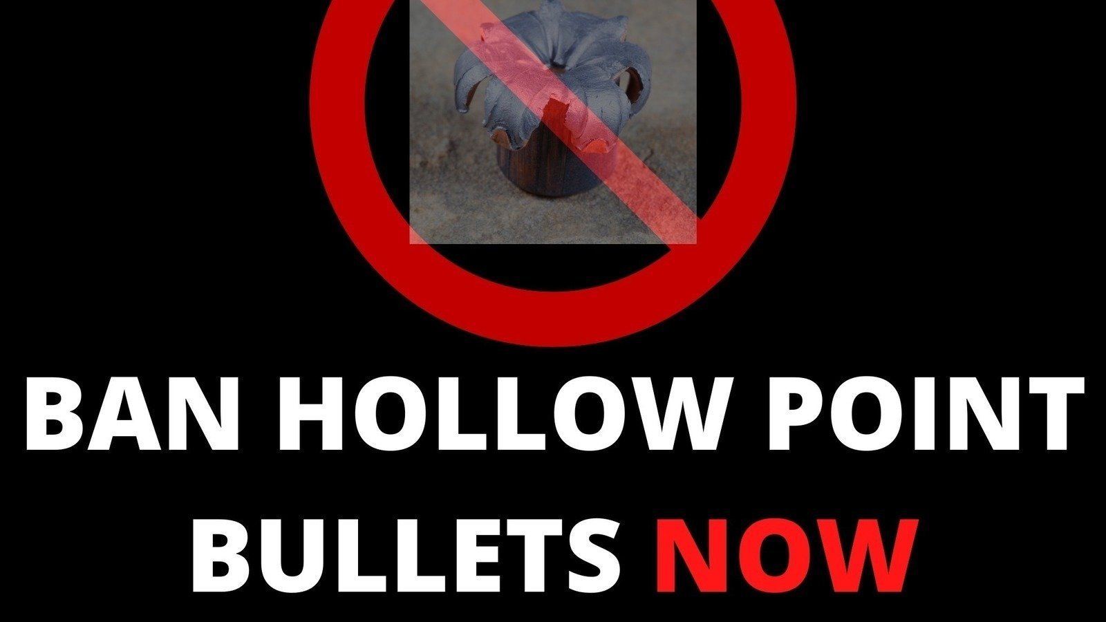 Petition · BAN hollow point (expanding) bullets used in mass shootings ...