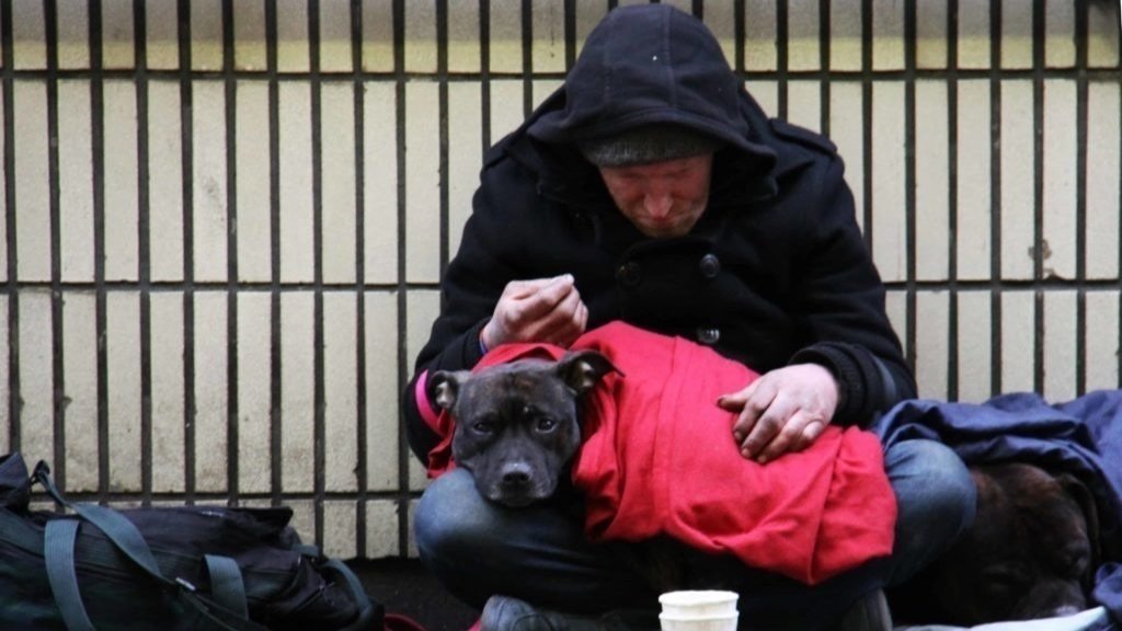 Petition · Make shelters and hostels more accessible for the homeless ...