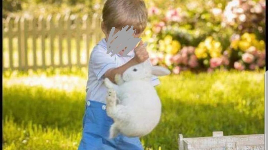 Petition · Shut down Mercer Harris Photography - United States · Change.org