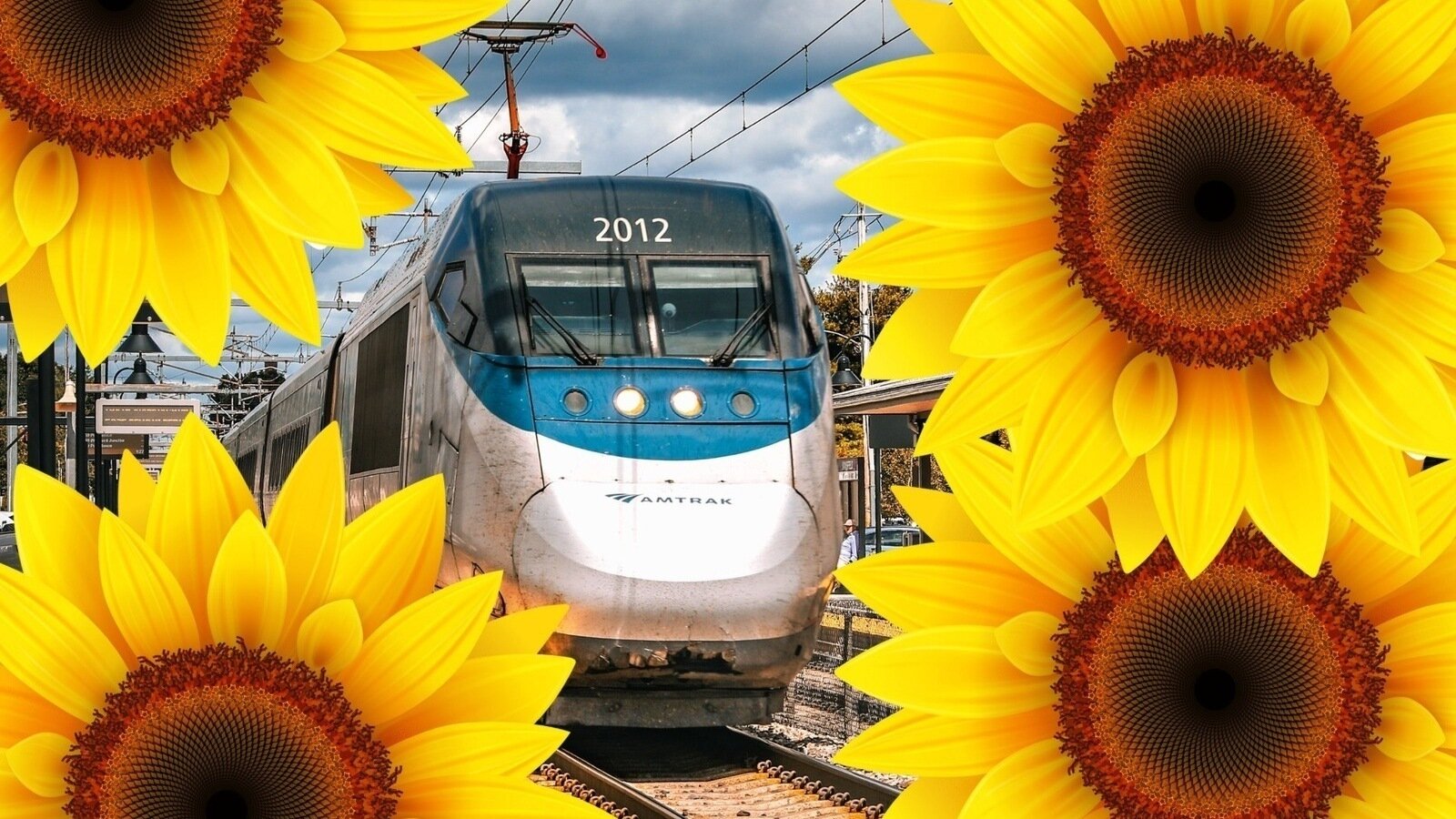 Petition · Urge Amtrak to Implement the Hidden Disabilities Sunflower ...