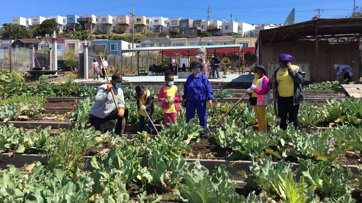 Petition · Save Bayview's Community Farm! - United States · Change.org