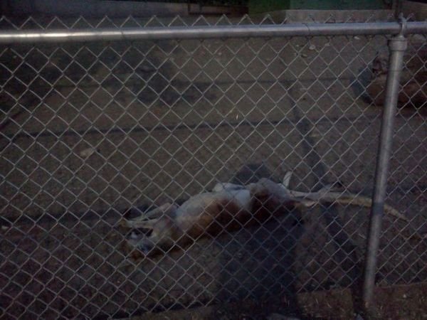 Petition · Stop imprisoning animals! - United States · Change.org