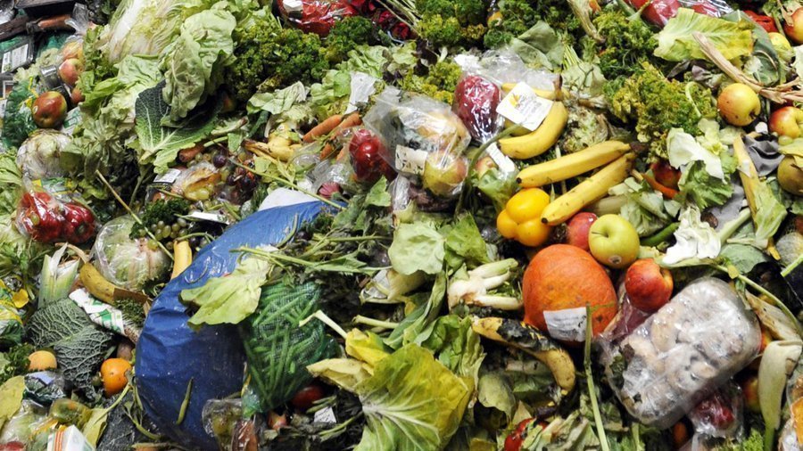 Petition · A reduction in supermarket food waste - United Kingdom ...