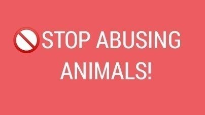 Petition · “A Justice for Stop Abusing Animals ” - Cabucgayan, Philippines · Change.org