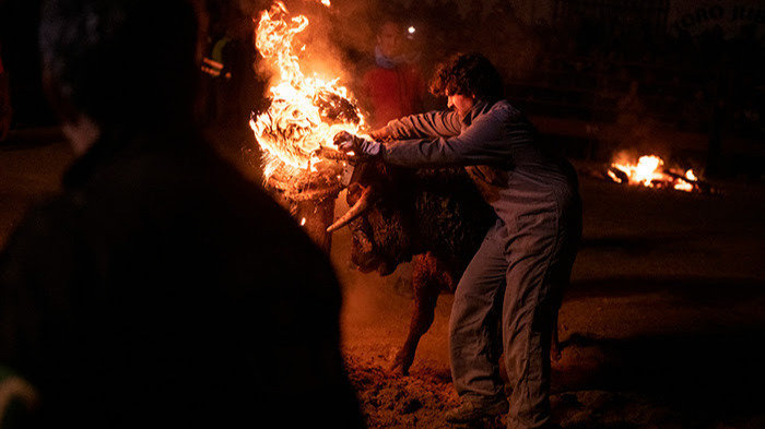 Petición · Paremos la muerte del Toro Jubilo en las calles de ...