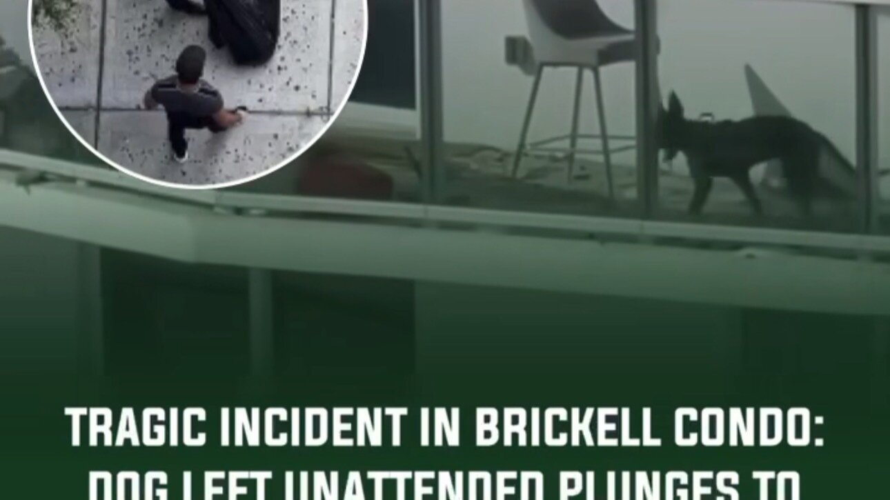 Petition · Send this animal criminal to Jail - United States · Change.org