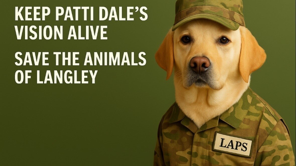 Petition · PLS DONATE DIRECTLY TO LAPS IF YOU DONATE Help Save LAPS and ...