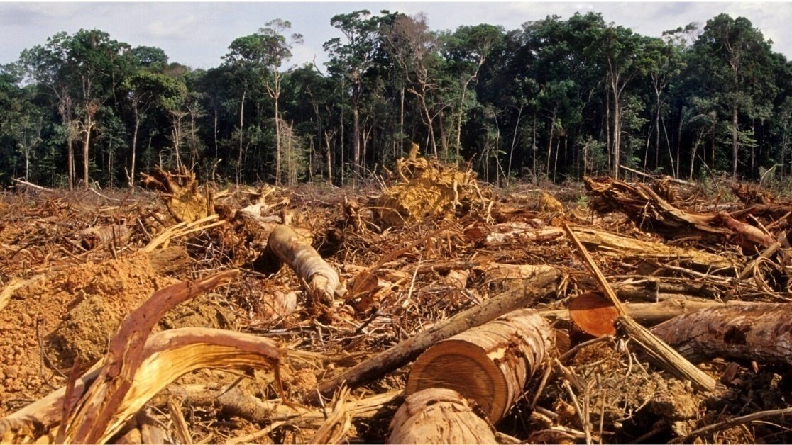 Petition · I enjoy the near- to immediate positive impact of our ...