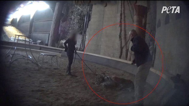 Petition · CHARGE MICHAEL HACKENBERGER OF BOWMANVILLE ZOO FOR ANIMAL ...