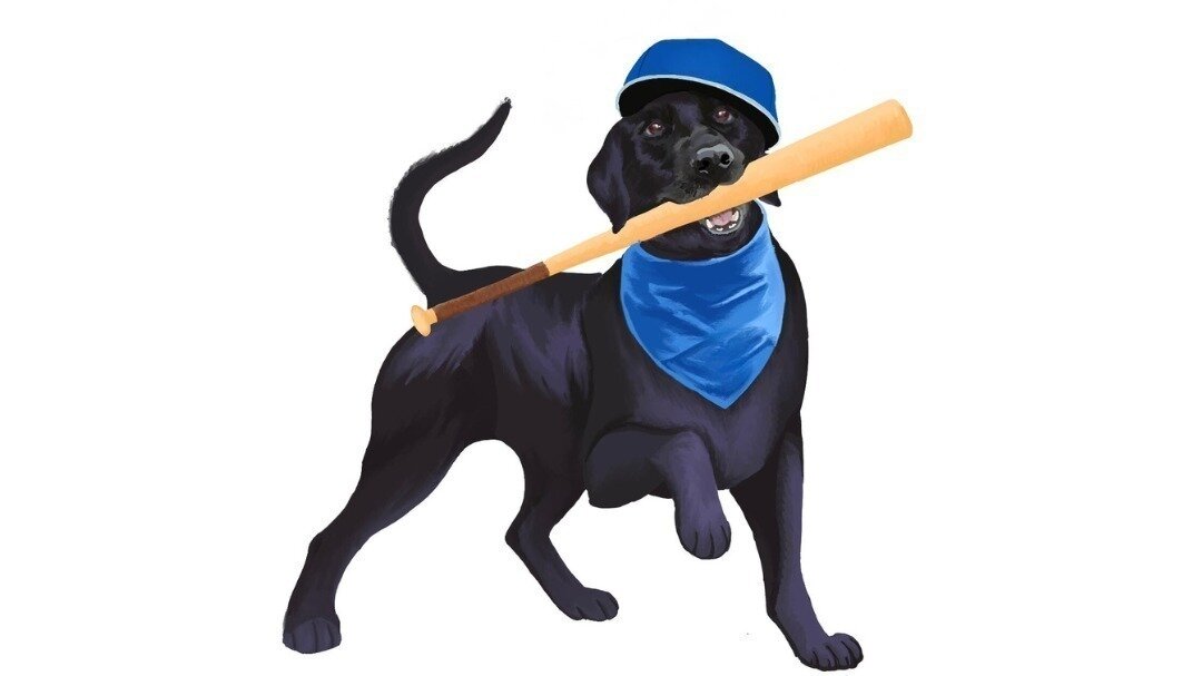 Petition · Bat dogs—MLB should recognize their pawsome contribution ...