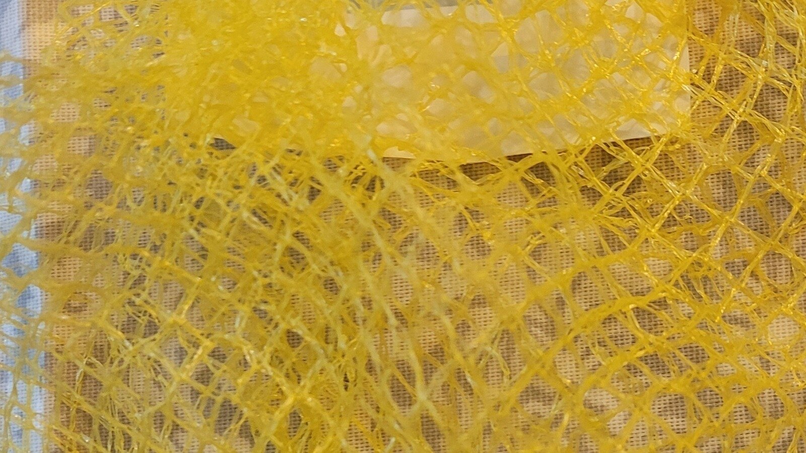 Petition · Prohibit the Use of Plastic Nets for Packaging Fruits and ...