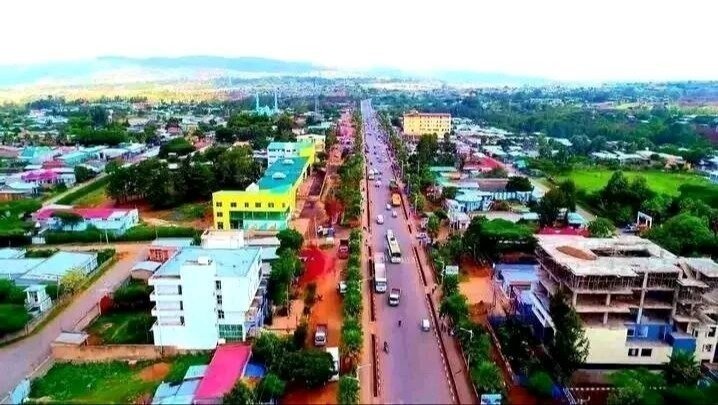 Petition · Requesting World Bank to Investigate Cancellation of Worabe ...