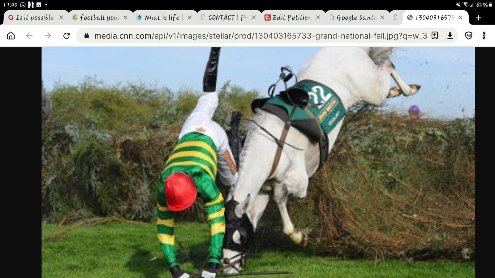 Petition · Ban the grand national and other crule horse races - United ...
