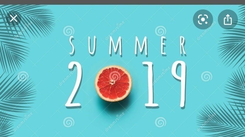 Petition · Bring back summer 2019 - United States · Change.org