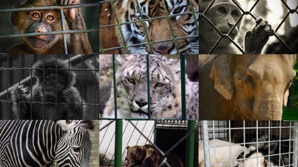 Petition · Stop zoo culture - India · Change.org