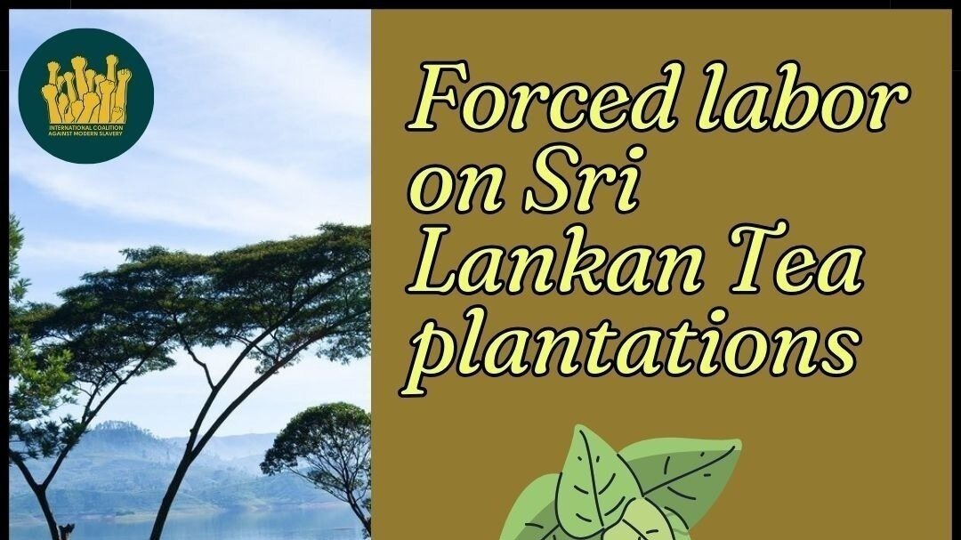 Petition · Encourage tea companies to invest in youth and pledge to ...