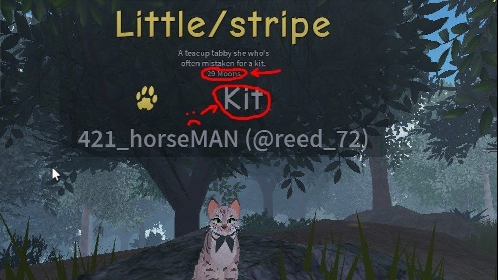 Petition · WCUE Roles Unlimited - United States · Change.org