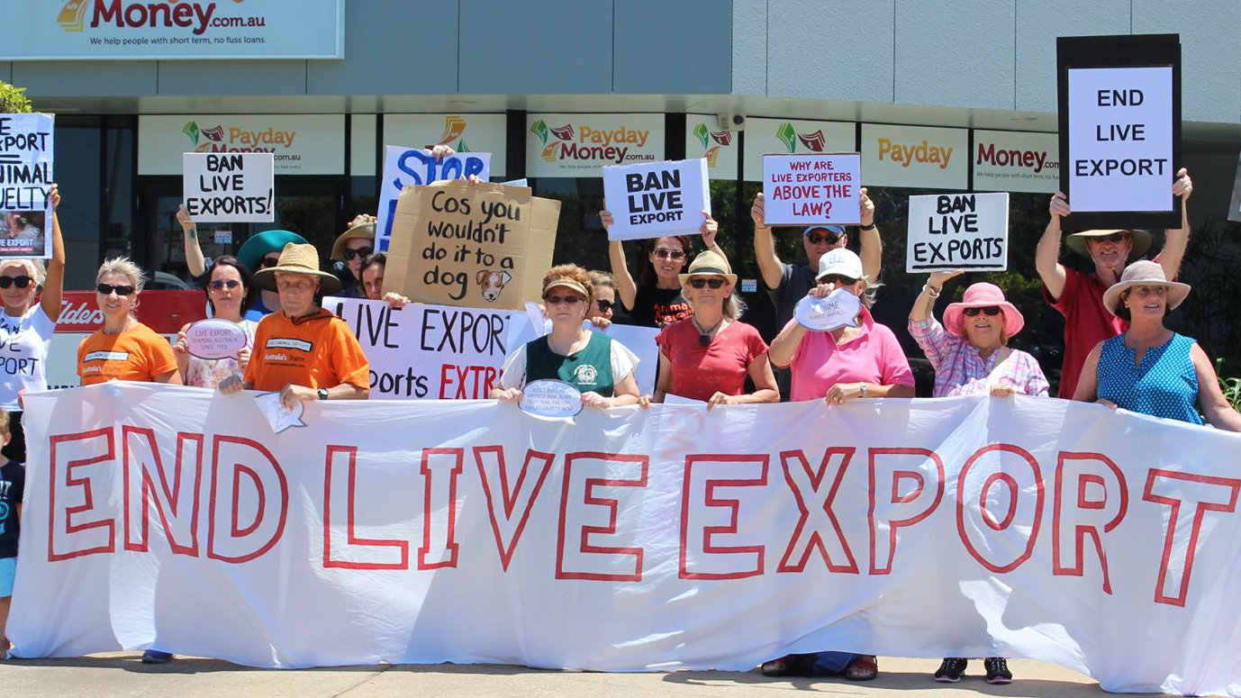 Petition · End live export from Townsville - Australia · Change.org