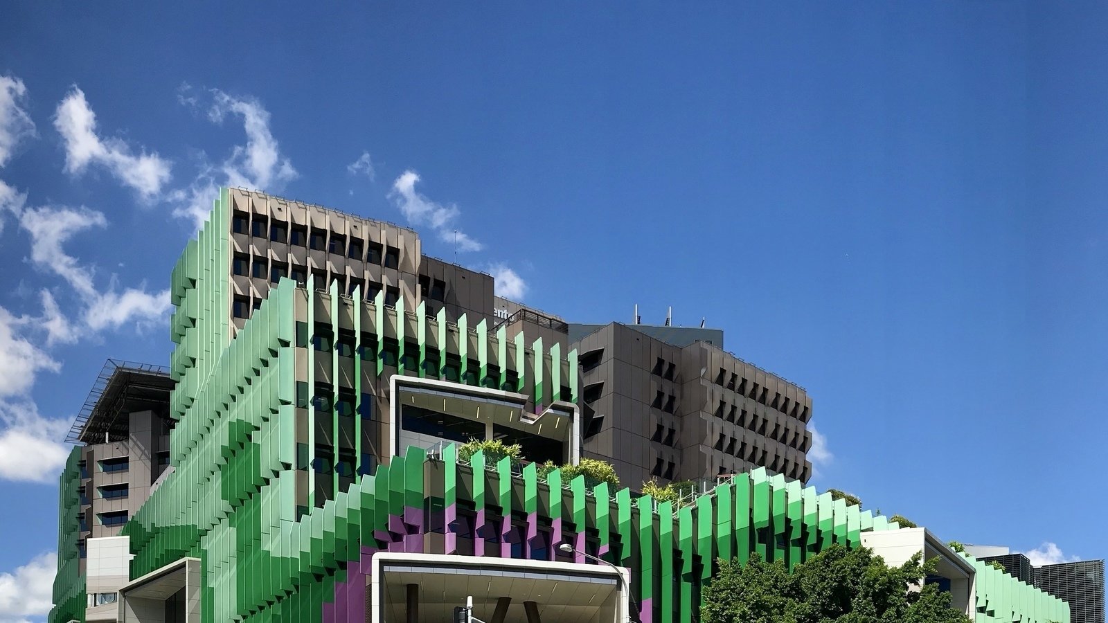 Petition · Keep Lady Cilento's name on our children's hospital ...