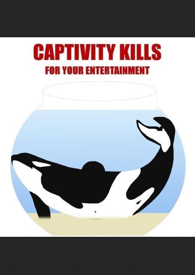 Petition · Sea World: Stop whale catching for business uses - United ...