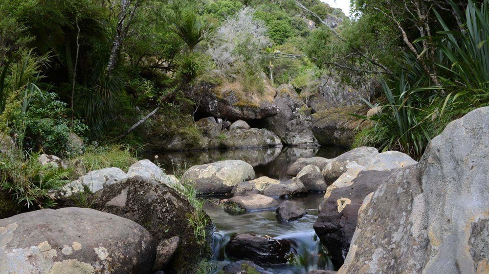 Petition · Protect Wairere Wahi Tapu From Exploitation, Capitalisation ...